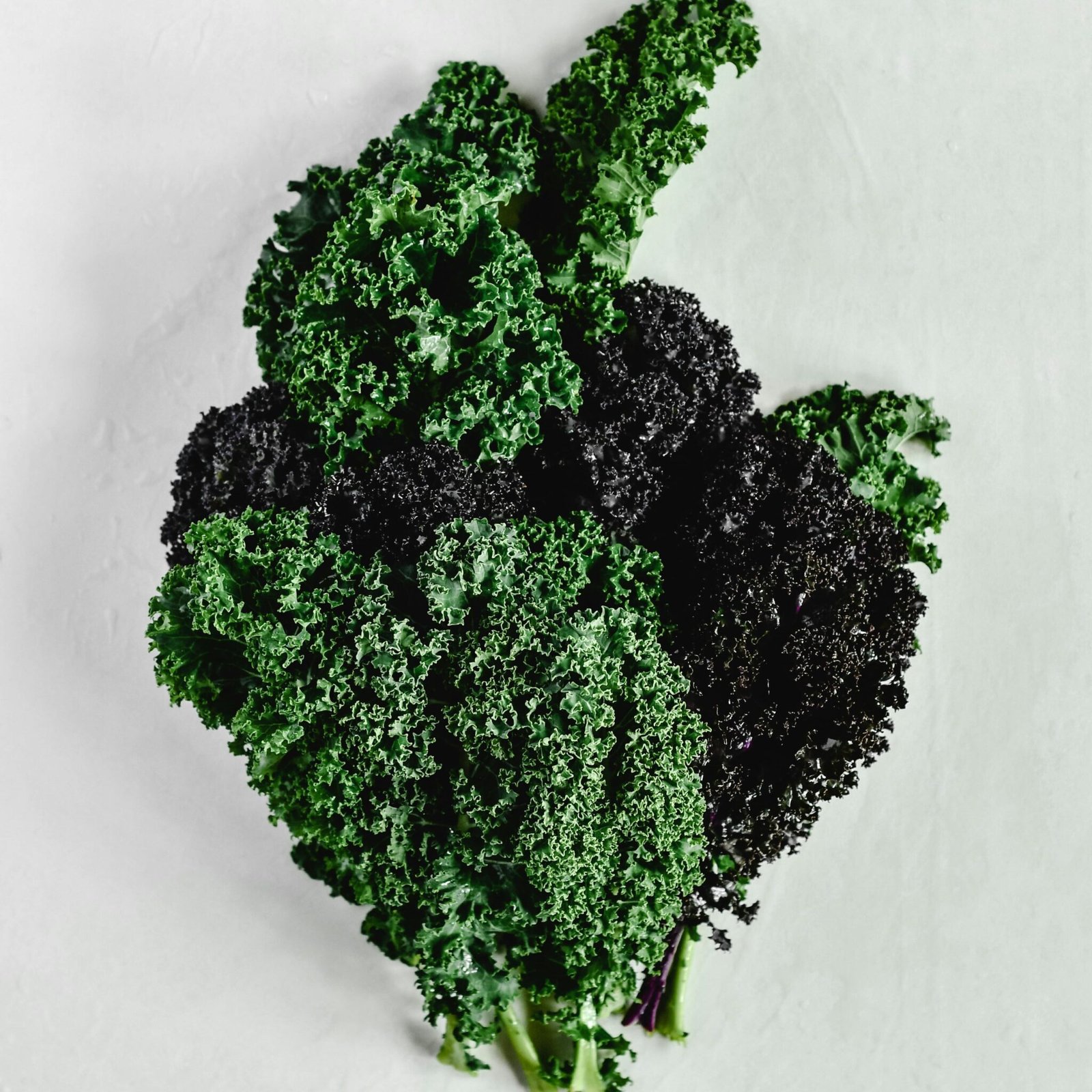 10 Best Foods High in Lutein - The Wellness Mania